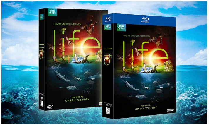 BBC Life 4-Disc DVD or Blu-ray Set Narrated by Oprah Winfrey﻿ Only $12. ...